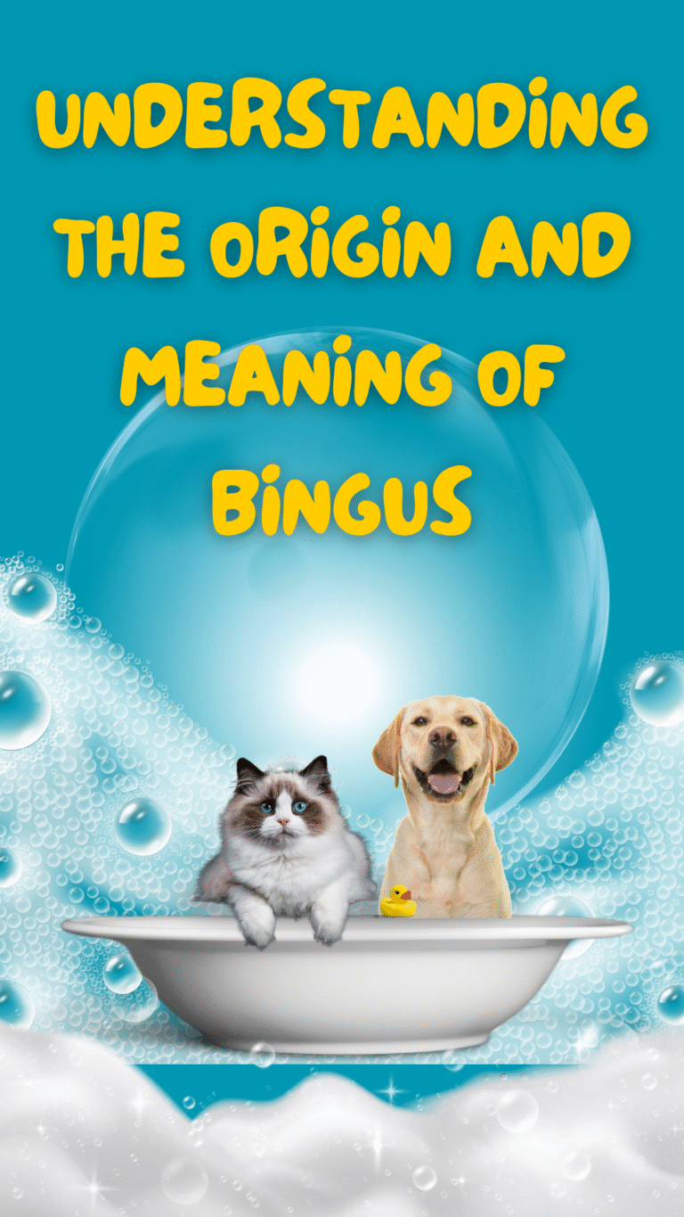 Understanding the Origin and Meaning of Bingus – Traditional Pet Food